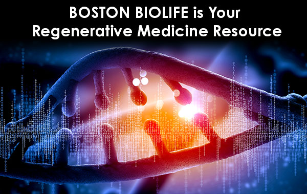 Boston BioLife is Your Regenerative Medicine Resource